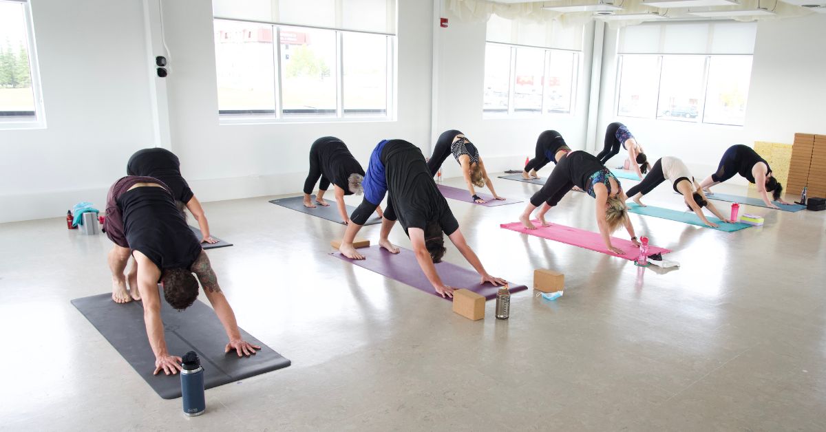 New To Yoga Promo - BlissPowered Yoga